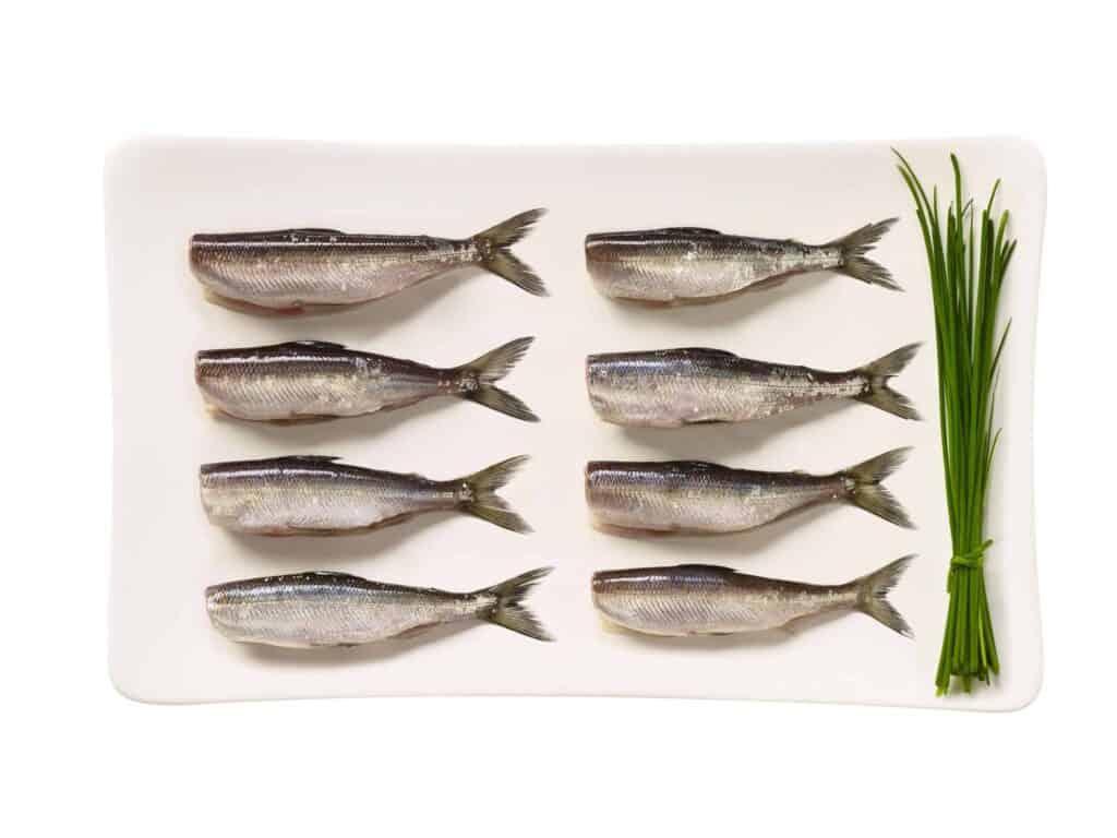 Muikku-perunavuoka | Resepti | Pääruoka– Kalaneuvos