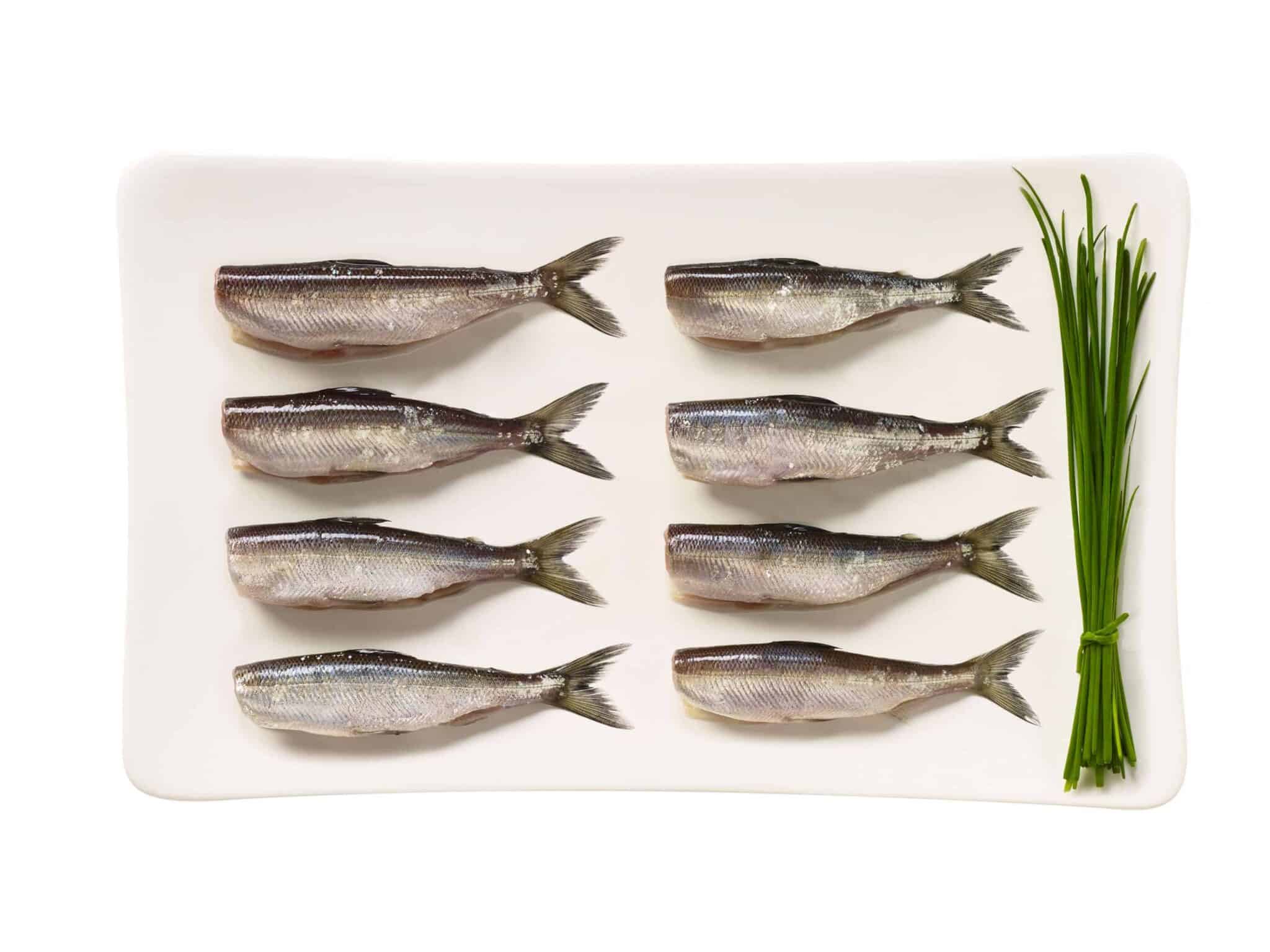 Muikku-perunavuoka | Resepti | Pääruoka– Kalaneuvos