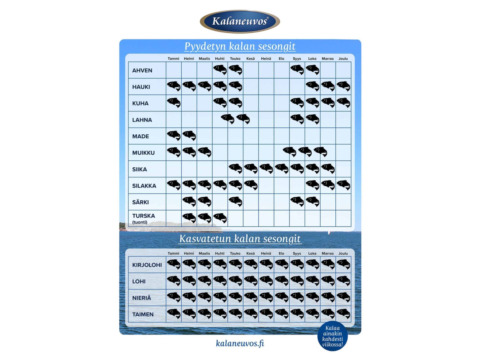 Kalan sesongit - Kalojen sesonkikalenteri – Kalaneuvos